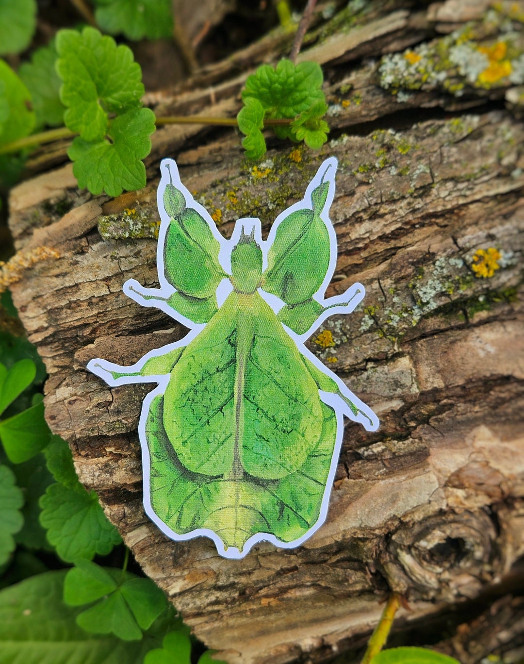 Leaf Bug Sticker | Insect Sticker | Cute Durable Sticker | Handmade - Etsy