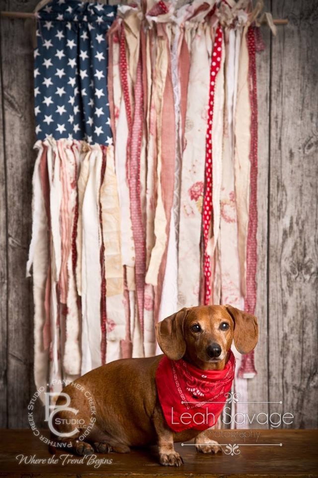American Rag Flag Americana Ribbon Flag Wall Hanging Porch Decor USA ...