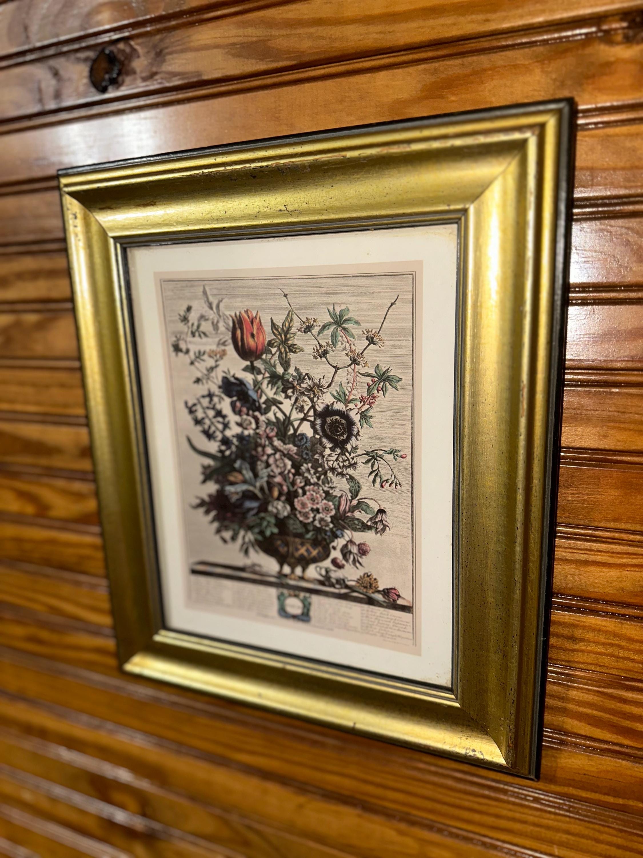 Robert Furber Flower of the Month FEBRUARY Framed Art Print - Etsy