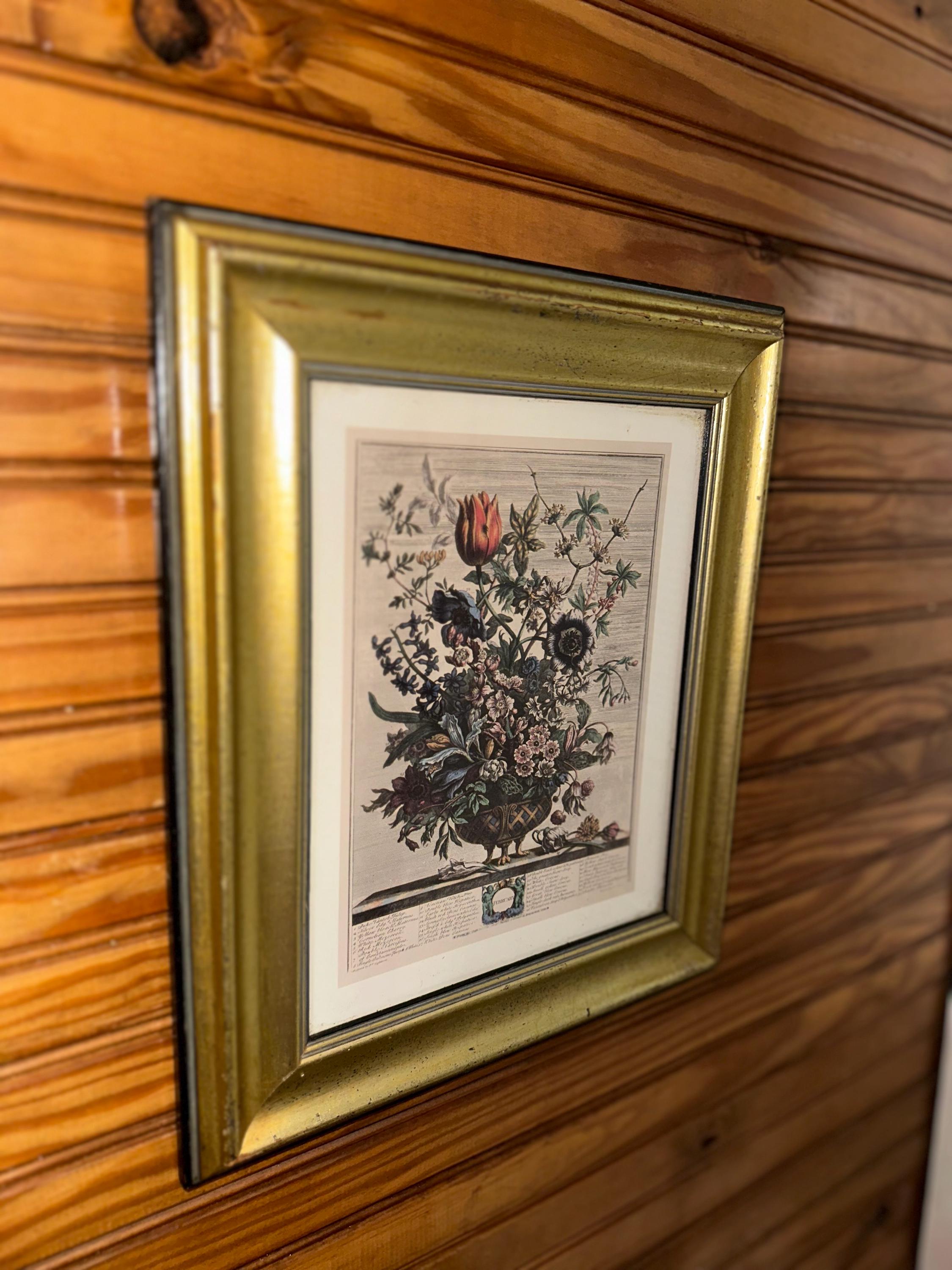 Robert Furber Flower of the Month FEBRUARY Framed Art Print - Etsy