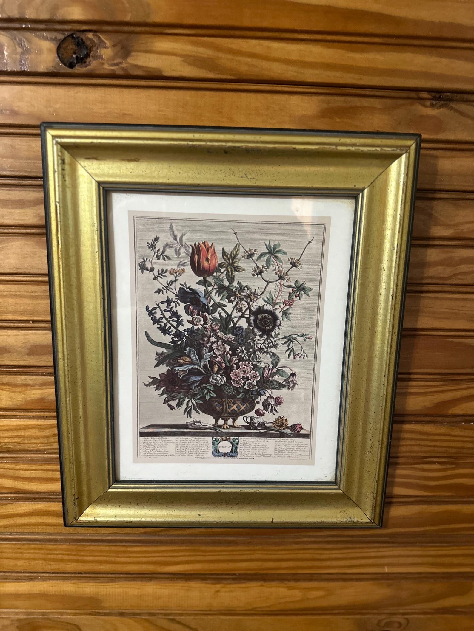 Robert Furber Flower of the Month FEBRUARY Framed Art Print - Etsy