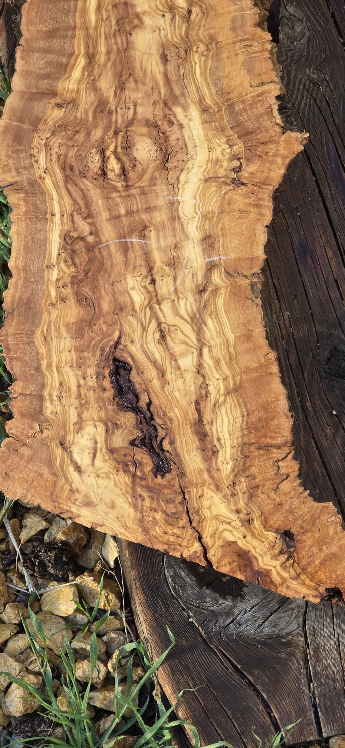 Burl Olive Wood Slab8 - Etsy