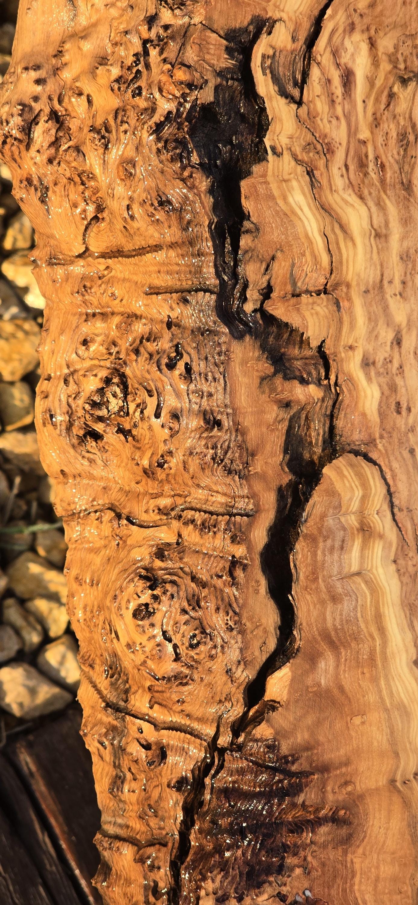 Burl Olive Wood Slab8 - Etsy