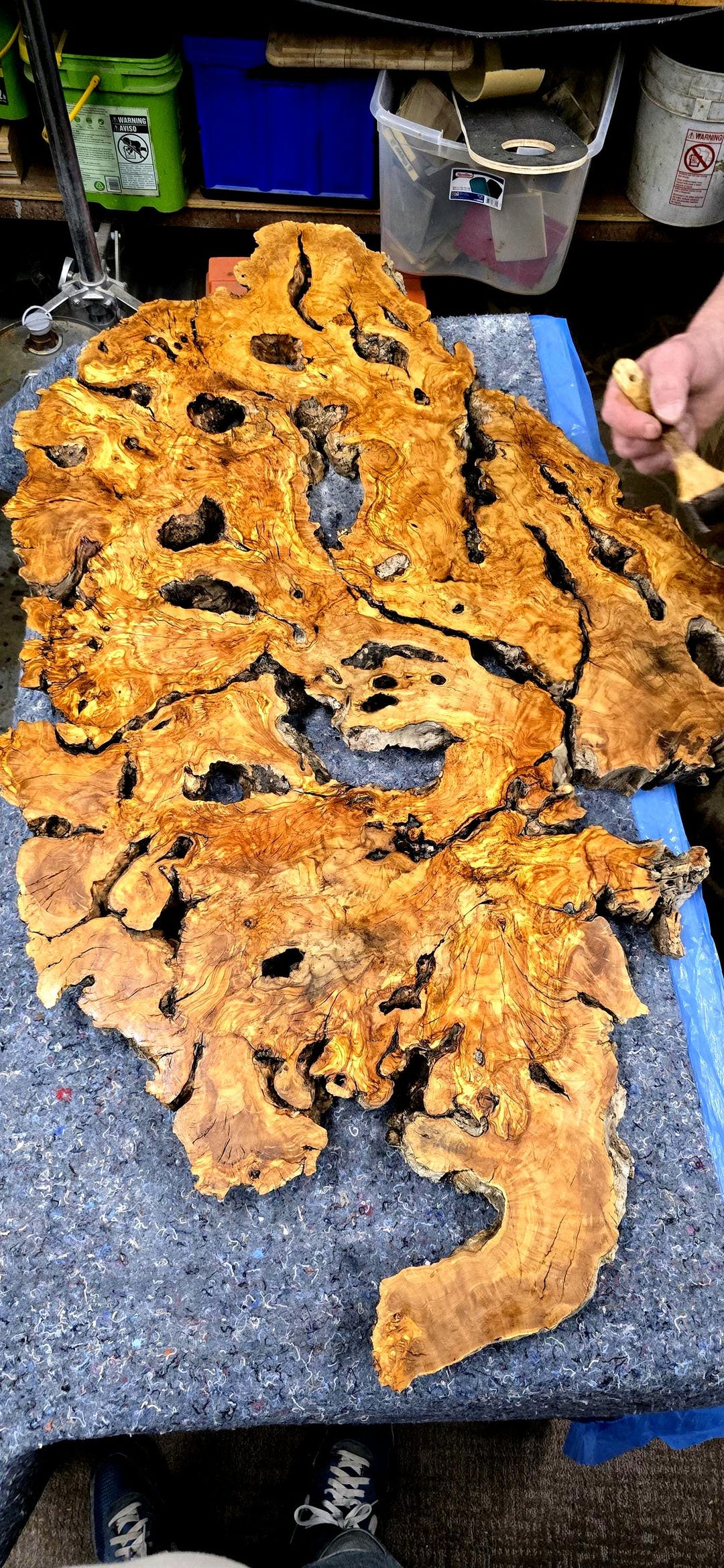 Burl Olive Wood Slab5 - Etsy