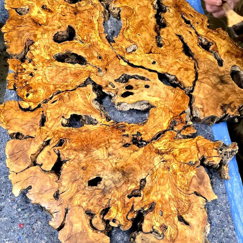 Burl Slab - Etsy