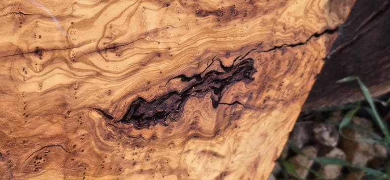 Burl Olive Wood Slab8 - Etsy