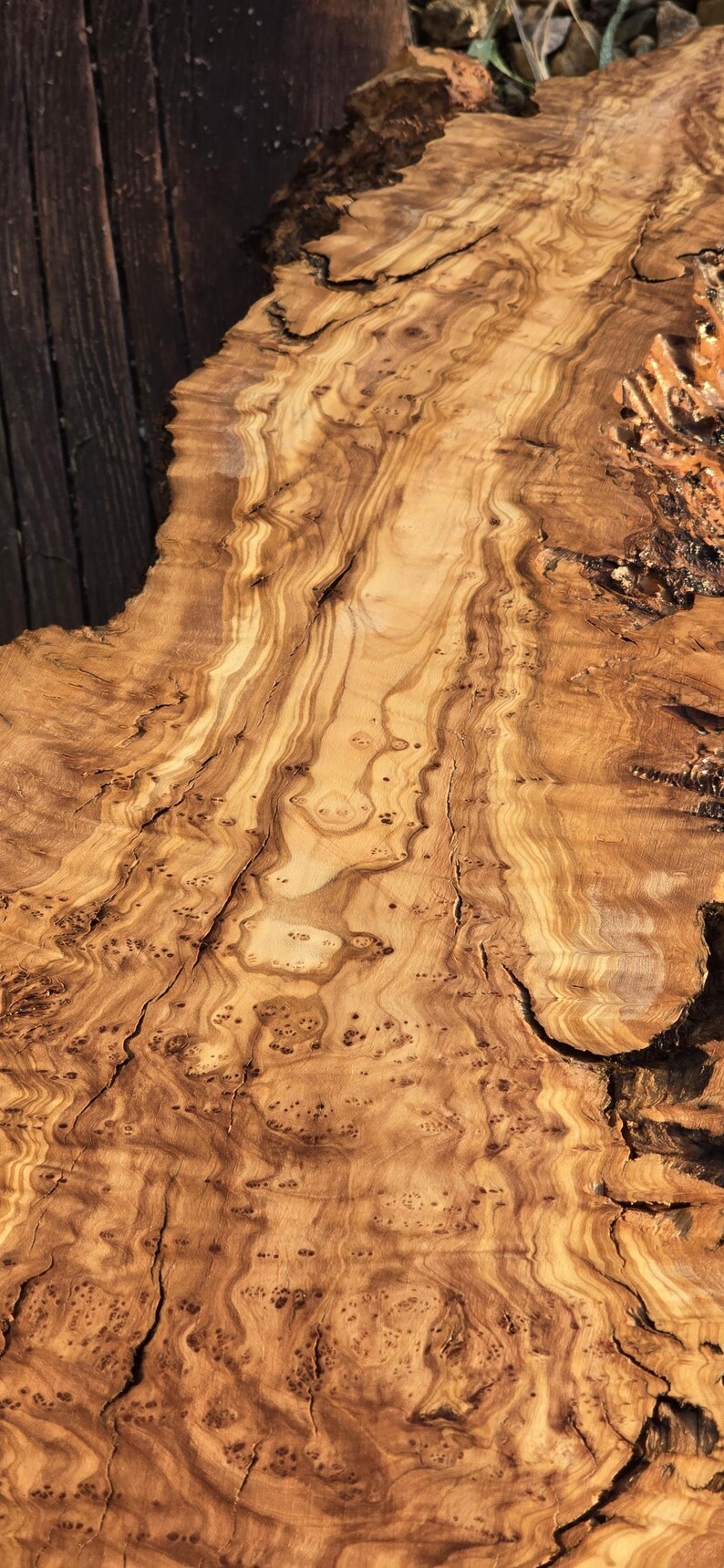 Burl Olive Wood Slab8 - Etsy