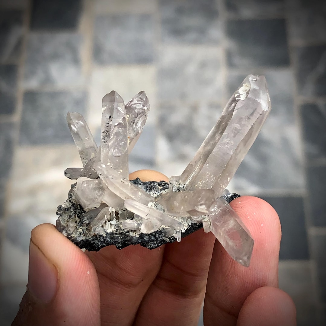 Quartz Crystal Specimen With Actinolite, Skardu Pakistan - Etsy