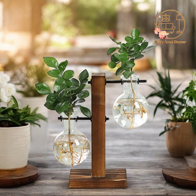 Glass Propagation - Etsy