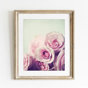 Roses Print Flower Photography Botanical Print, Shabby Chic Decor, Pale ...