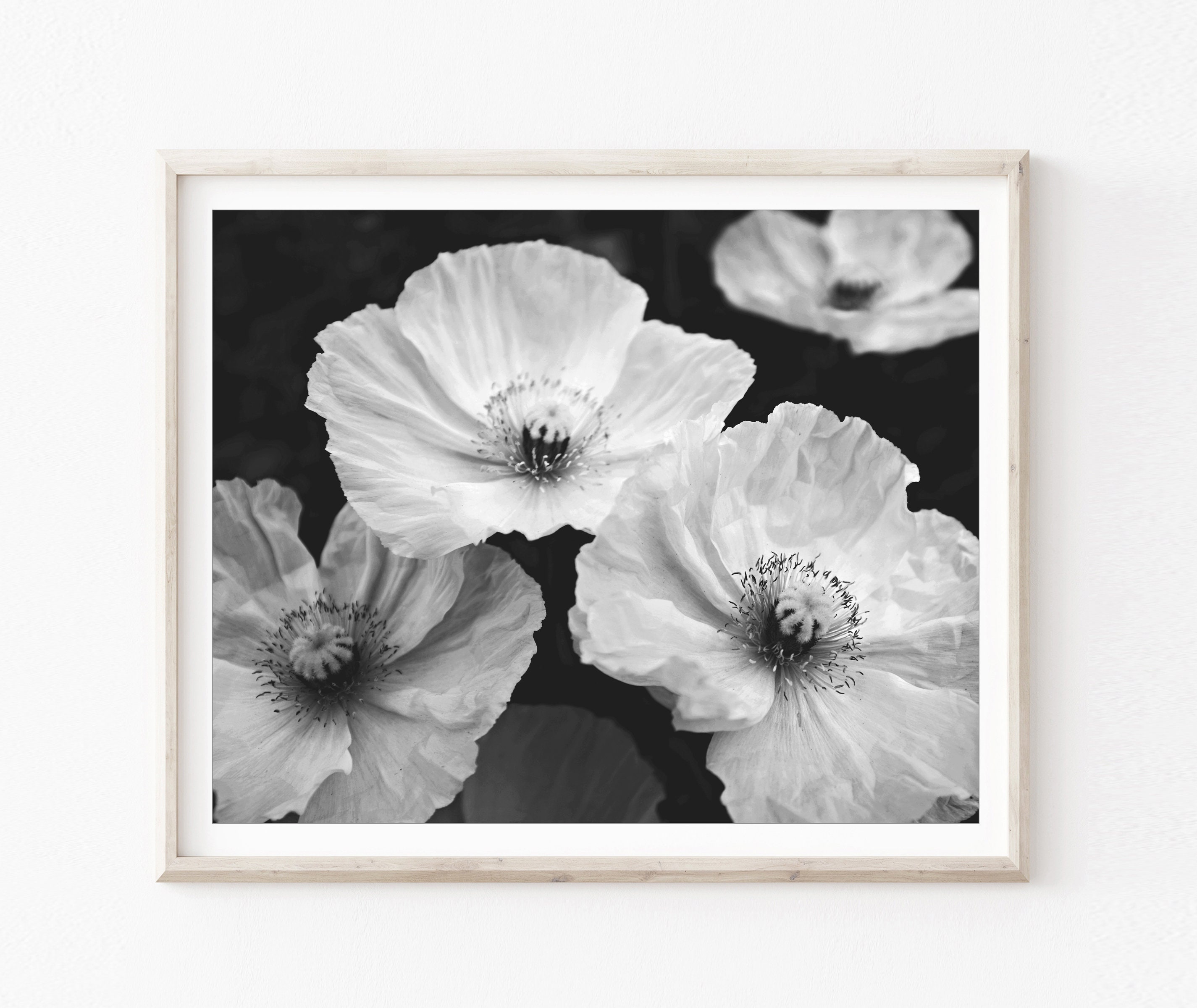 Black And White Flower Art Prints