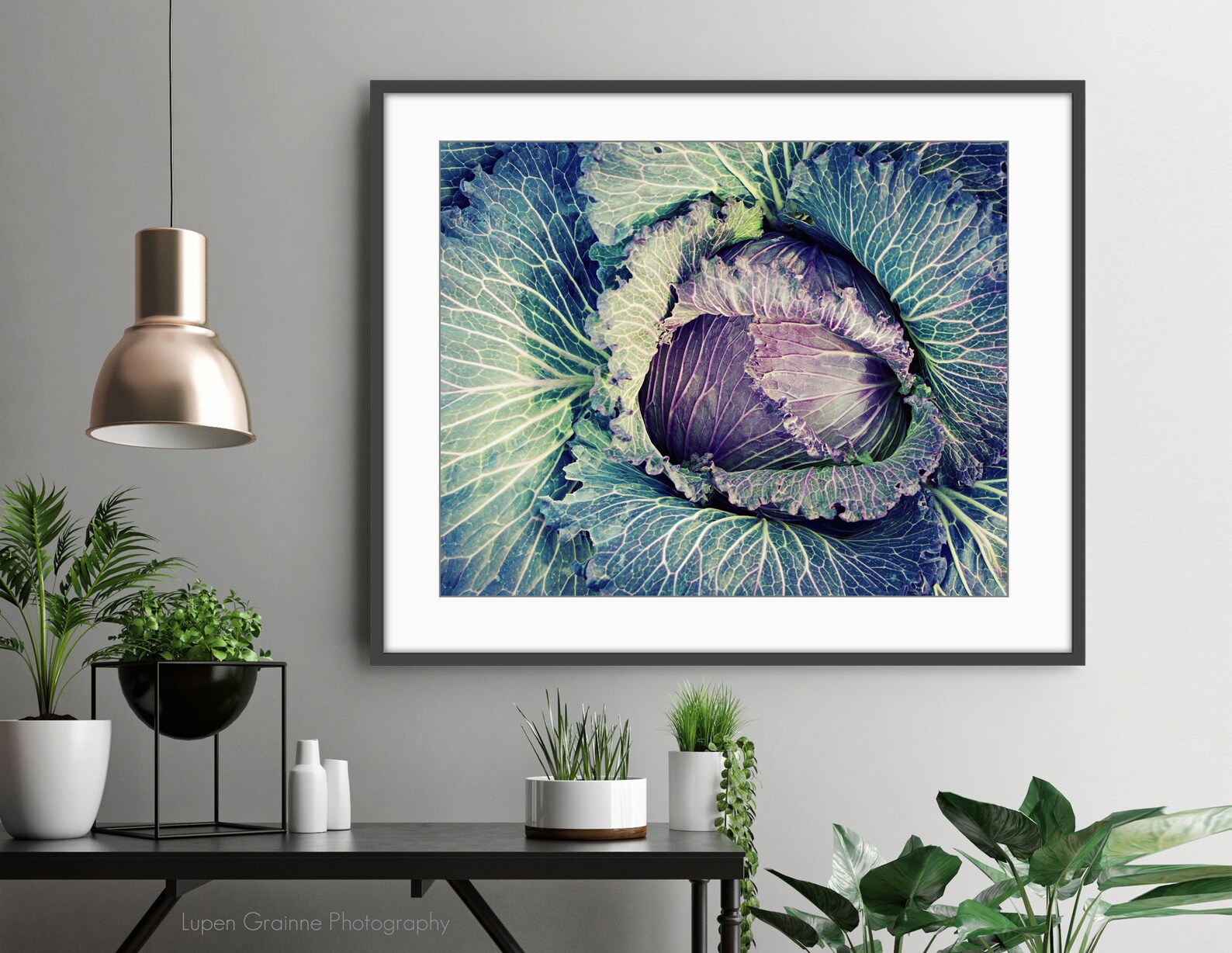 Purple Cabbage Print, Food Photography, Farmhouse Kitchen Wall Art ...