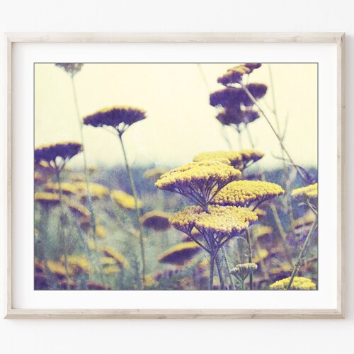 Botanical Print Yarrow Flower Photography Mustard Yellow - Etsy