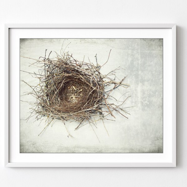 Bird Nest Art - Etsy