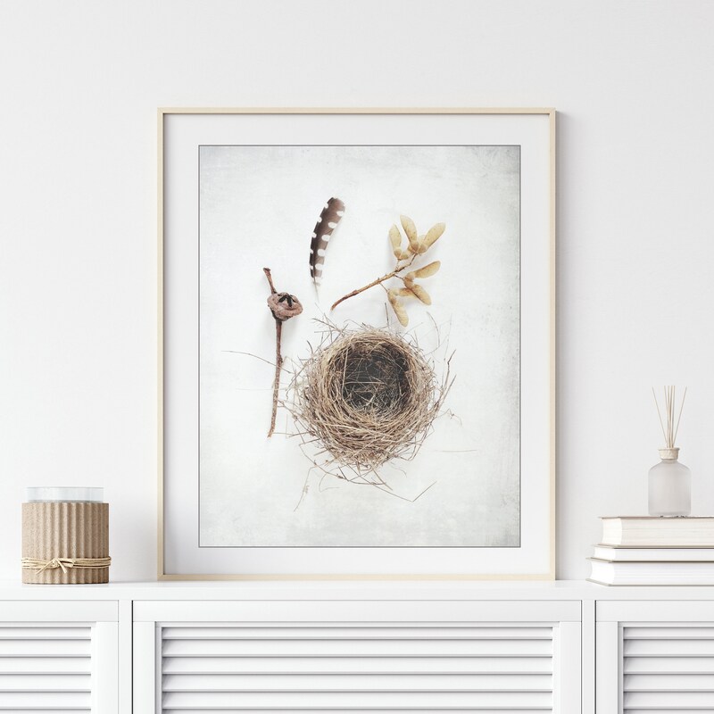 Bird Nest Art - Etsy
