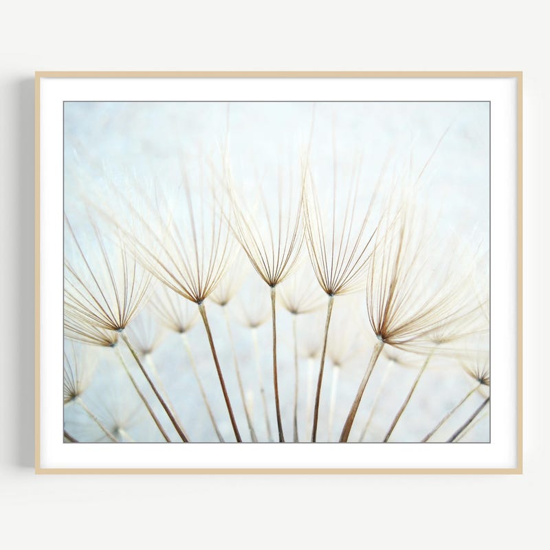 Nature Prints - Etsy