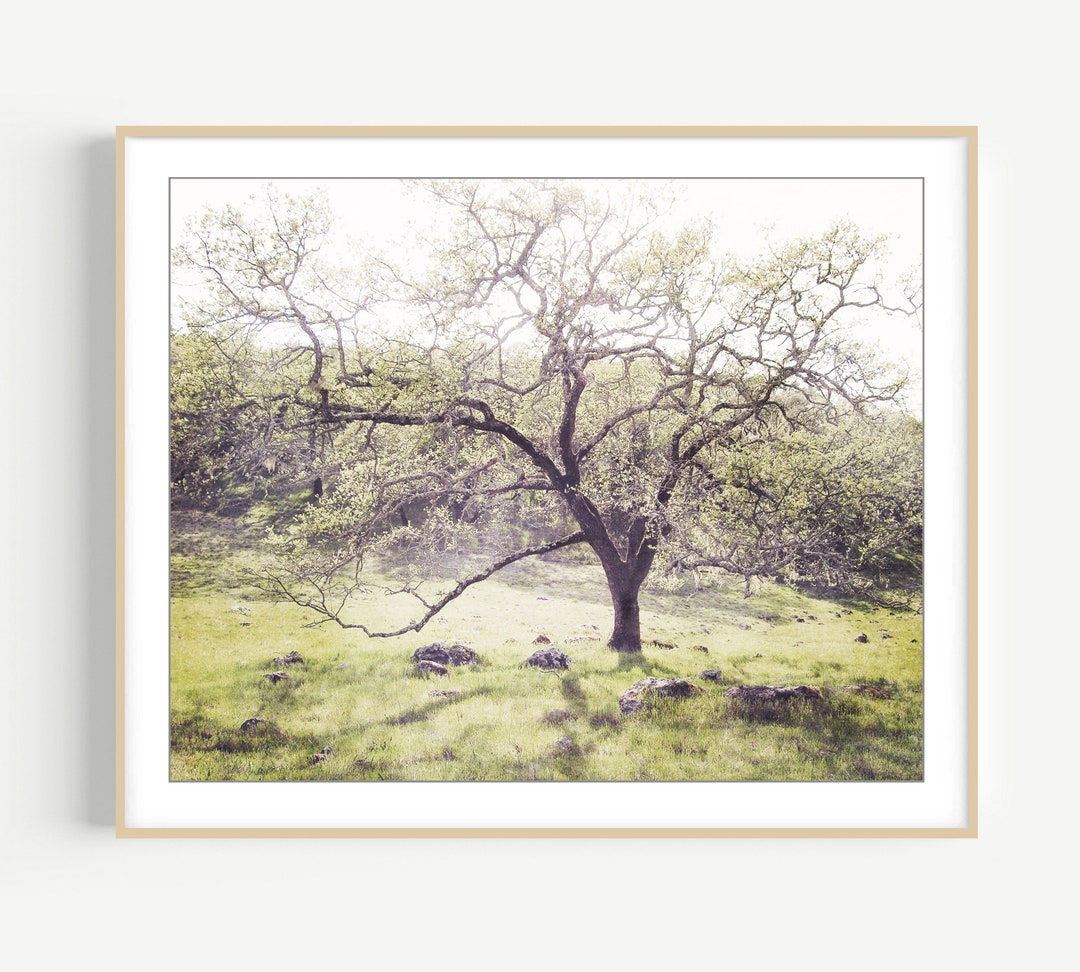 Oak Tree Landscape Print Landscape Photography, Dreamy Woodland Wall ...