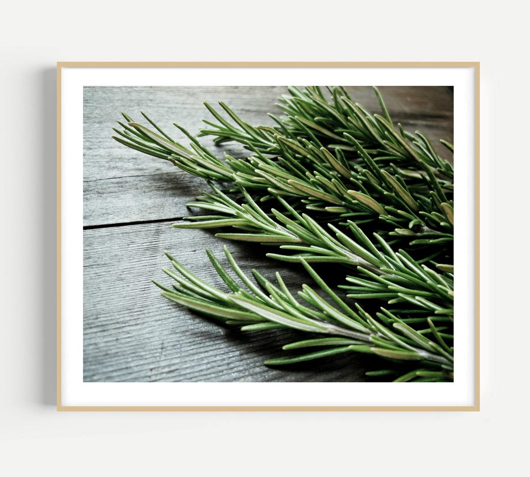 Rosemary Photography Print Rustic Kitchen Wall Art - Etsy