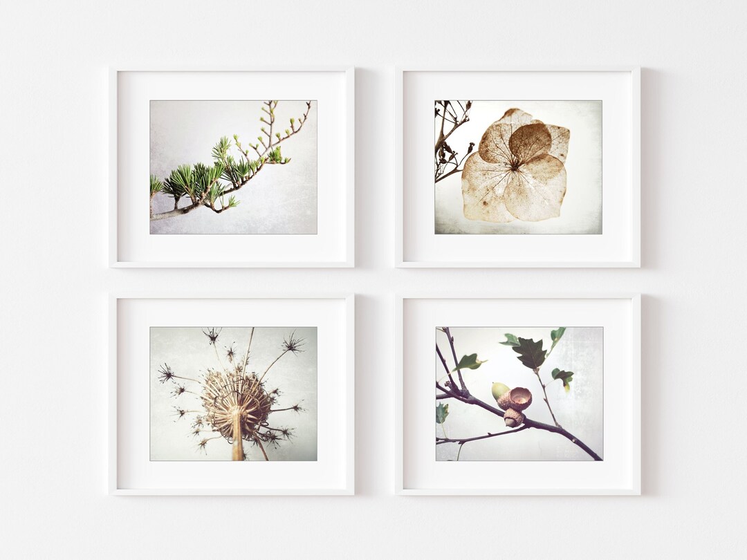 Rustic Botanical Print Set, Naturalist Art, Set of 4 Prints, Farmhouse ...