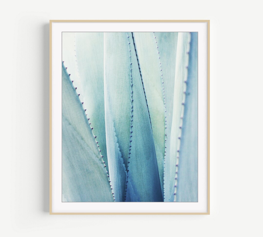 Agave Photography Print, Pale Blue Abstract Minimal Botanical Wall Art ...