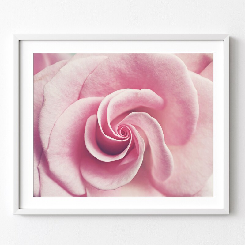 Pink Rose Print - Etsy