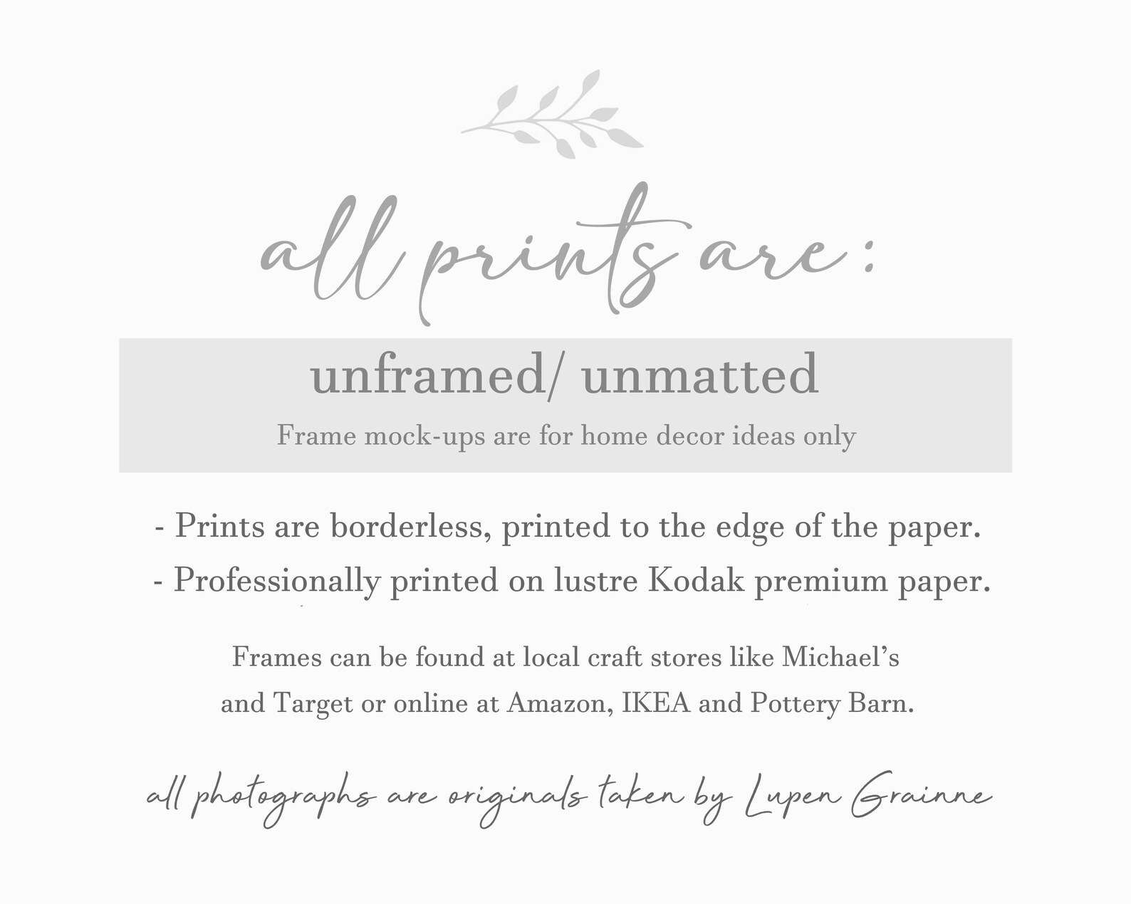 Purple Cabbage Print, Food Photography, Farmhouse Kitchen Wall Art ...