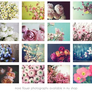 Nature Photography, Floral Wall Art, Purple Lilac Flowers, Pastel ...