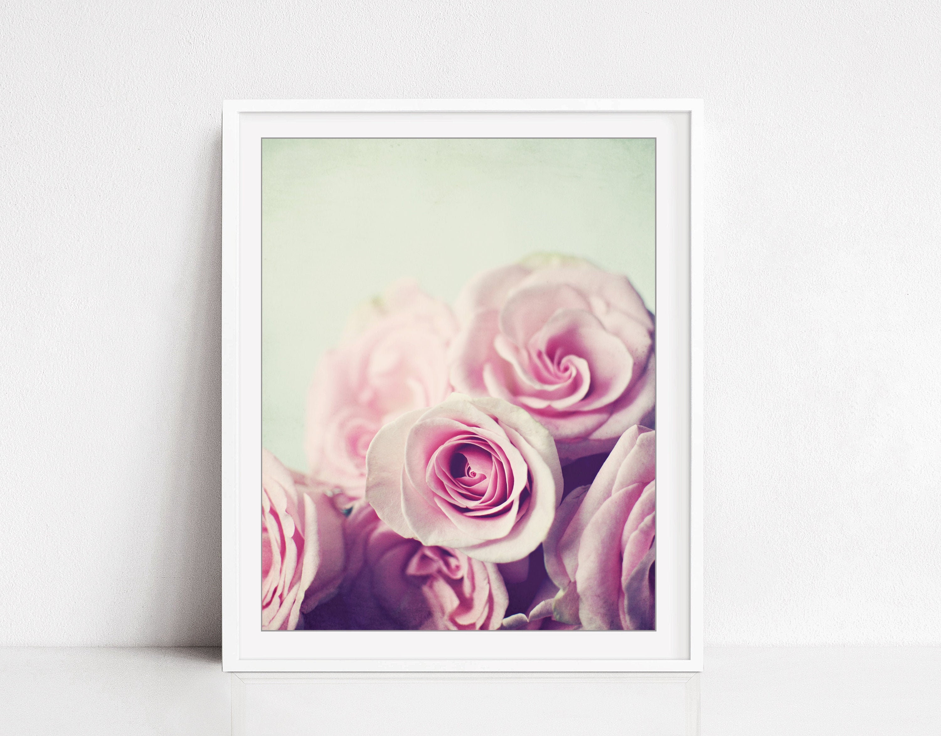 Roses Print Flower Photography Botanical Print Pale Pink | Etsy