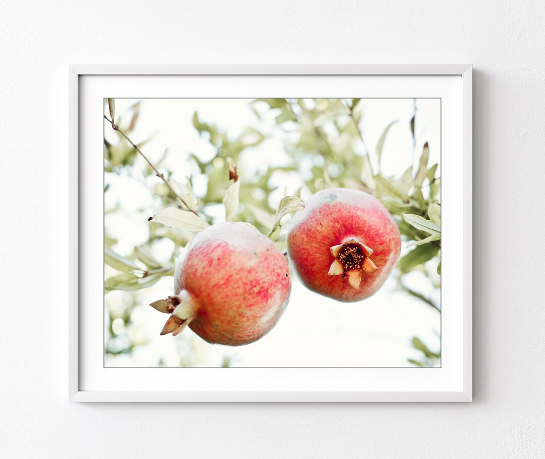 Pomegranate Tree Print Botanical Photography - Etsy