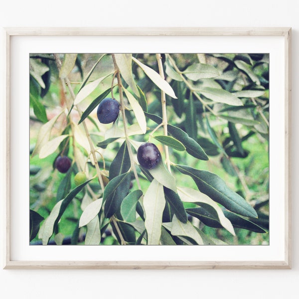 Olive Print - Etsy