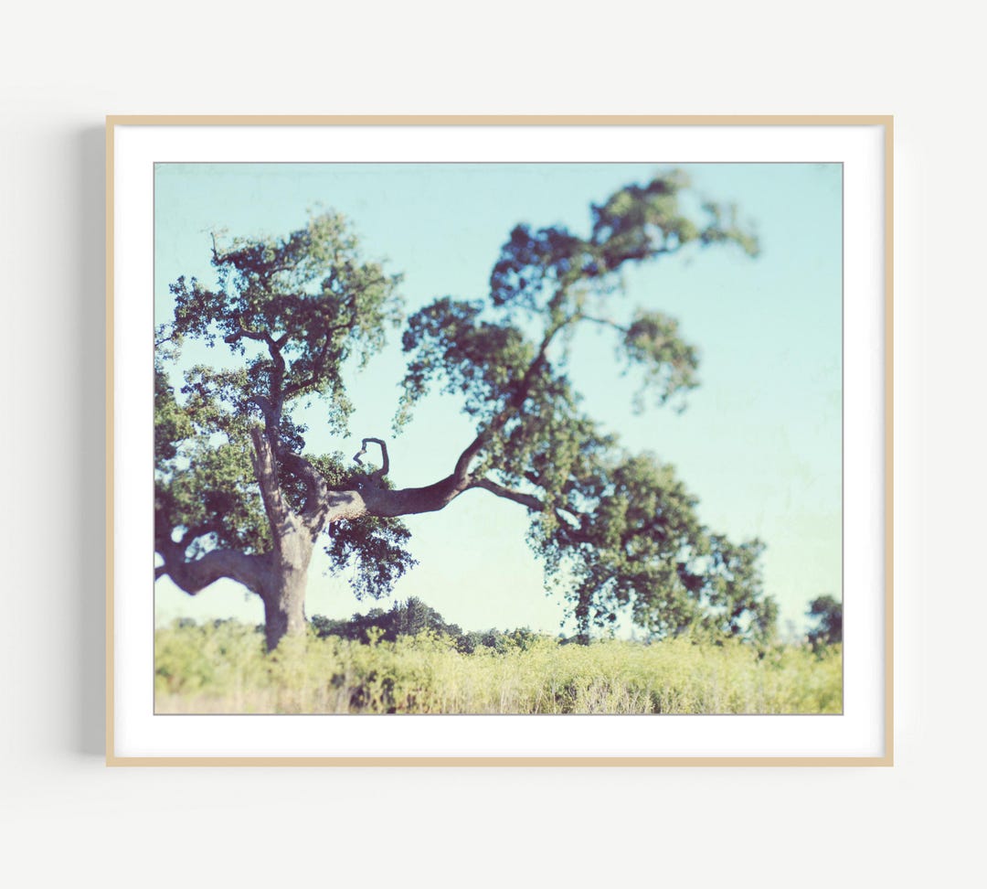 Oak Tree Photograph - Landscape Photography, Tree Wall Art, Blue Green ...