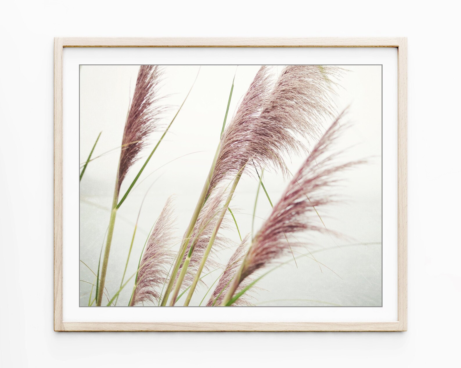 Pampas Grass Print Nature Photography Coastal Wall Art | Etsy