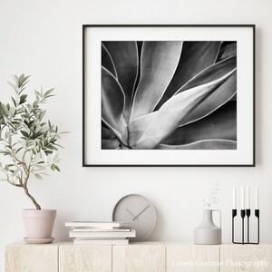 Agave Wall Art, Black and White Photography Print, Southwestern Style ...