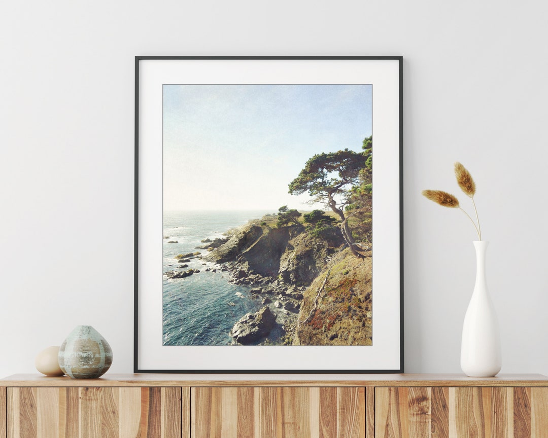 California Coastal Wall Art, Cypress Tree, Beach Photography, Rustic ...