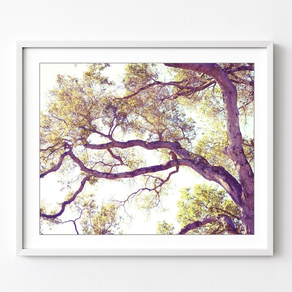 Oak Tree Wall Art - Etsy