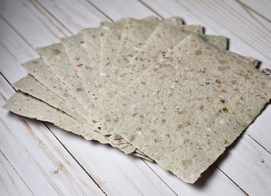 Eco-friendly Seed Paper With Deckle Edges - 10 A5 Sheets for ...