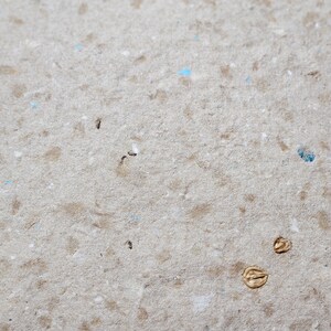 Eco-friendly Seed Paper With Deckle Edges - 10 A5 Sheets for ...