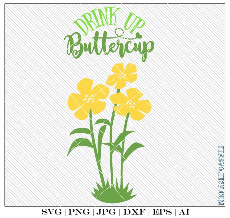 SVG: Drink up Buttercup Studio3 Silhouette A.I. DXF | Etsy