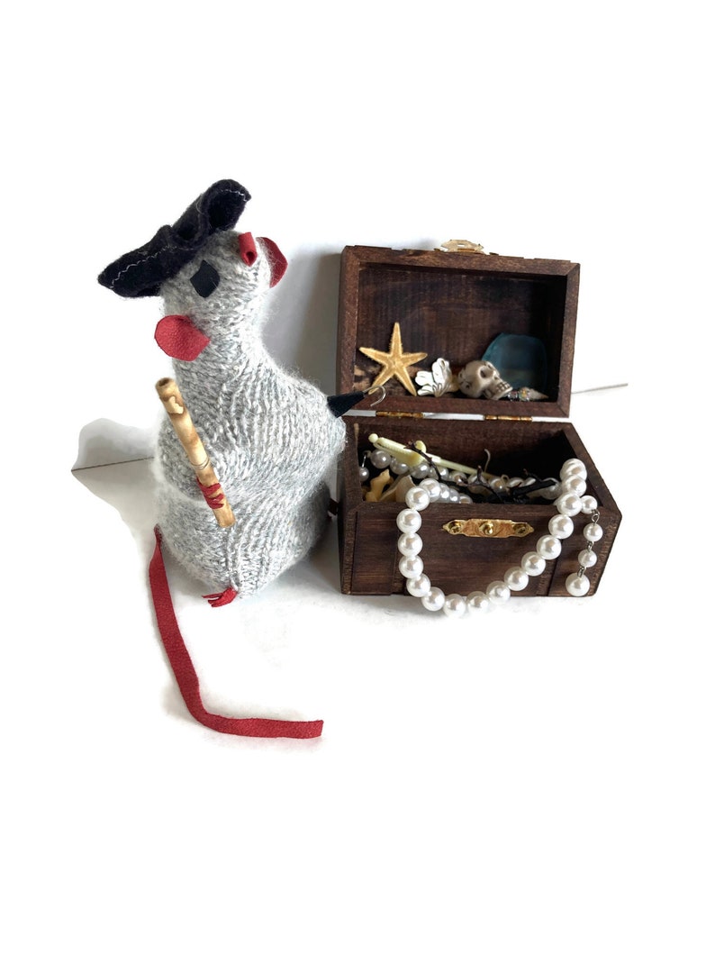 The Pirate Rat and His Treasure Chest - Etsy