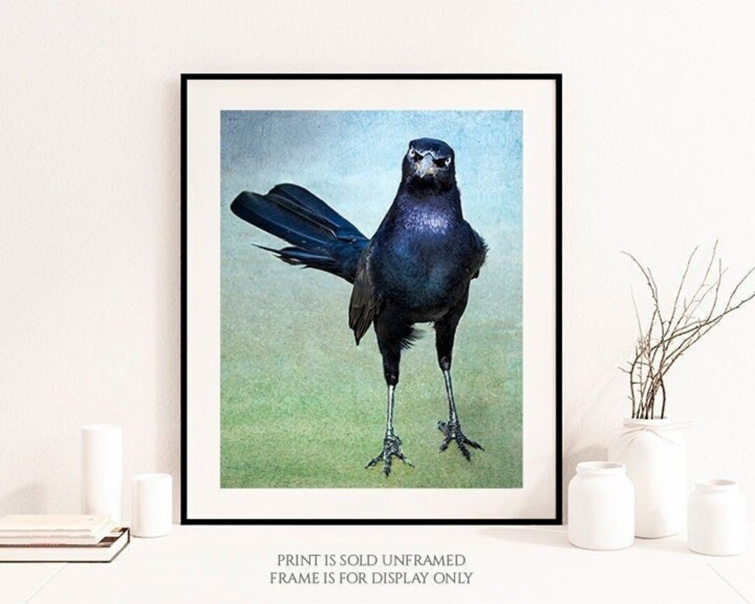 Seriously? Funny Bird With Bad Attitude Print or Canvas, Angry ...