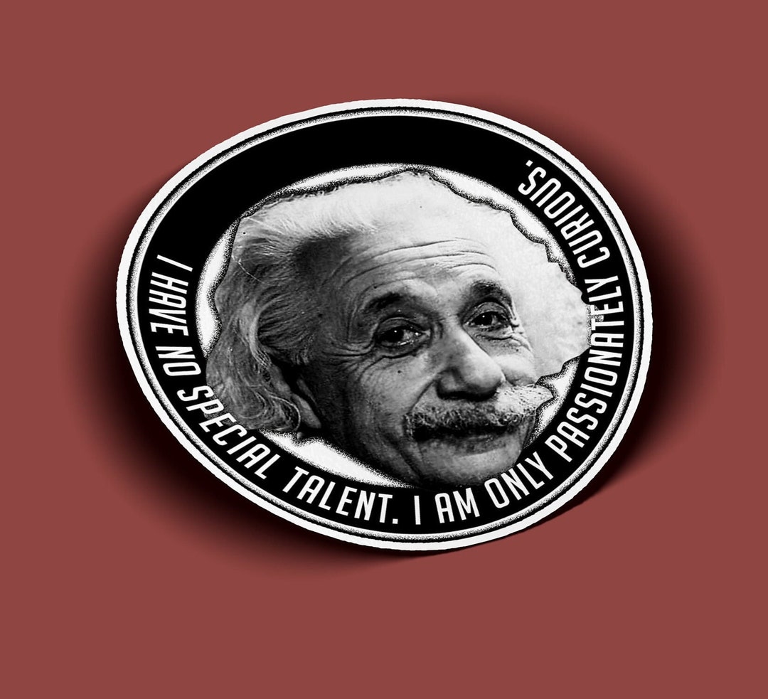 Albert Einstein Stickers BOGO 2 for the Price of 1 - Etsy