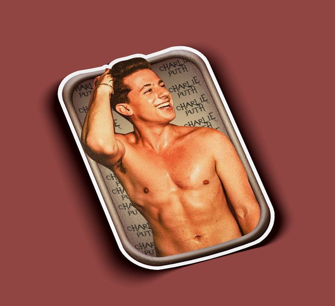 Charlie Puth Stickers BOGO 2 for the Price of 1 - Etsy