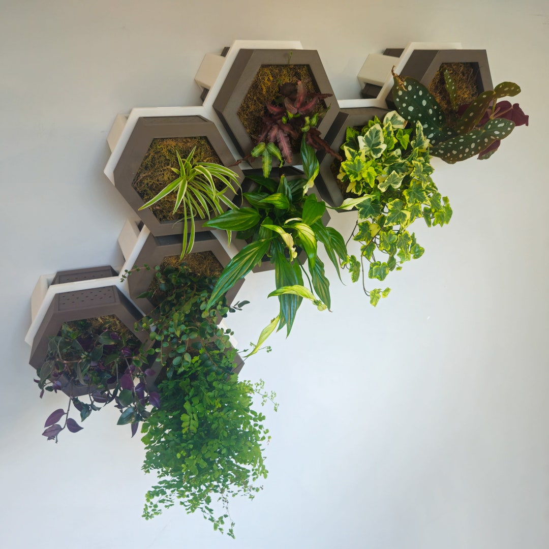 Hexa Nine Modern Hexagonal Wall Planter 3D Printed Minimalist Home ...