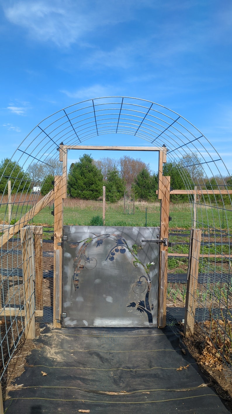 Whimsical Metal Garden Gate - Etsy