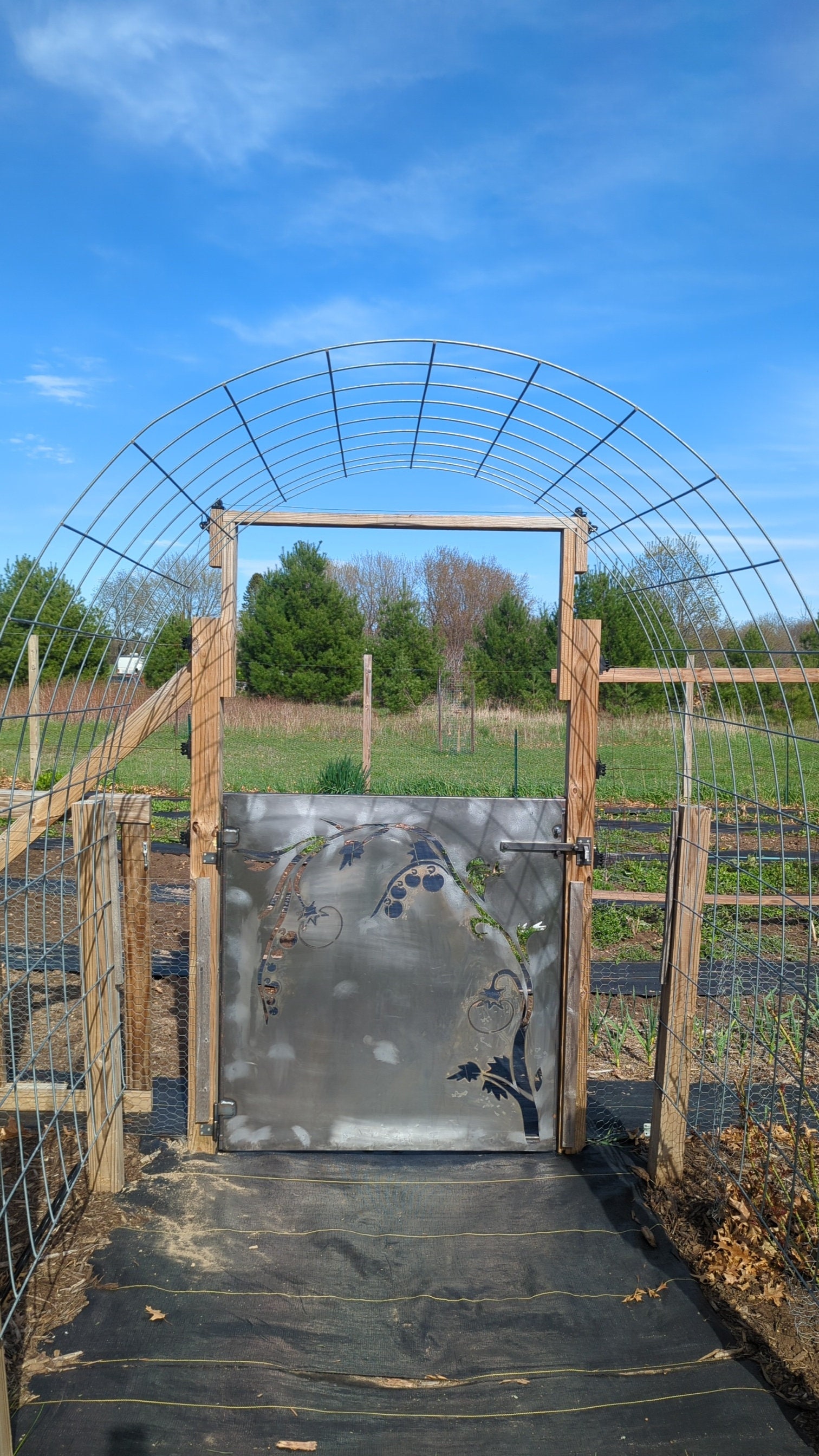 Whimsical Metal Garden Gate - Etsy
