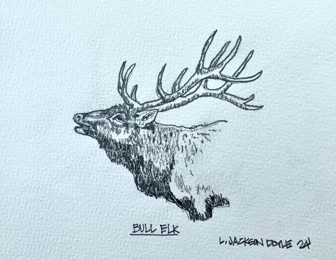 BULL ELK, One of a Kind Pencil Drawing Original. - Etsy