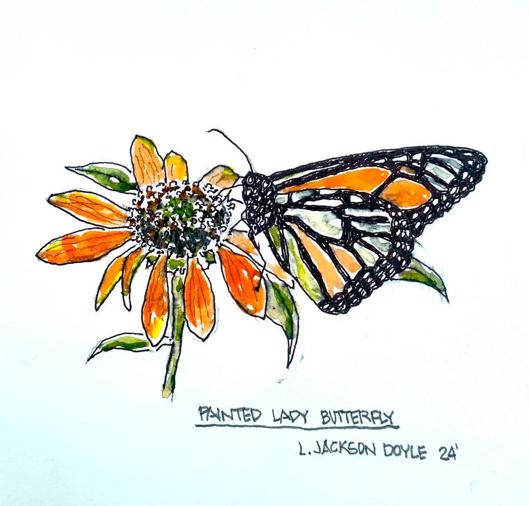 Painted Lady Butterfly Watercolor Limited Print by Artist L. Jackson ...