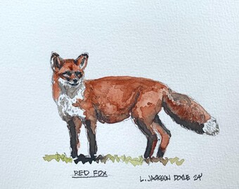 Red Fox Kit, One of a Kind Pencil Drawing Original. - Etsy