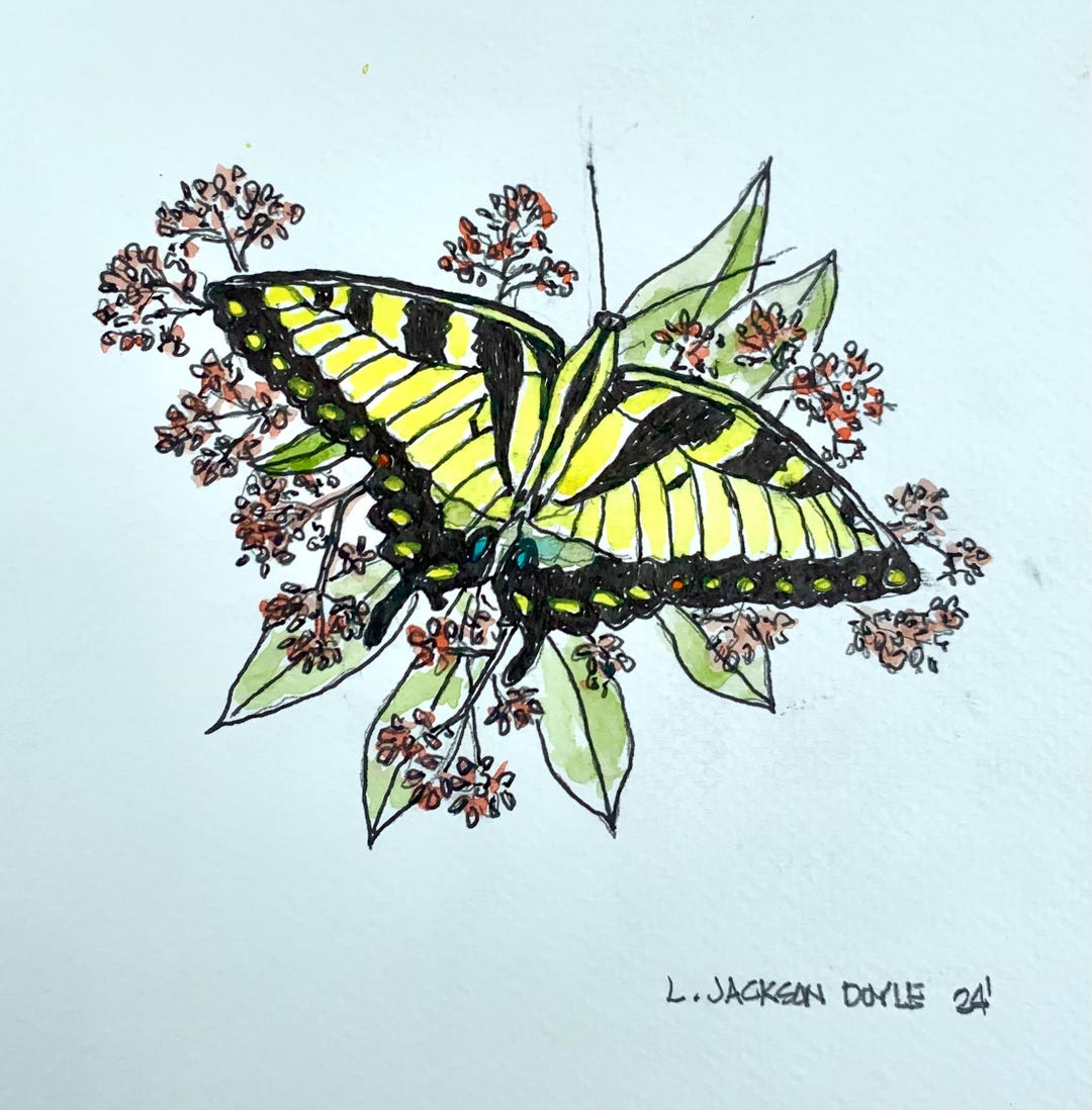 Eastern Tiger Swallowtail Butterfly Watercolor Limited Print by Artist ...