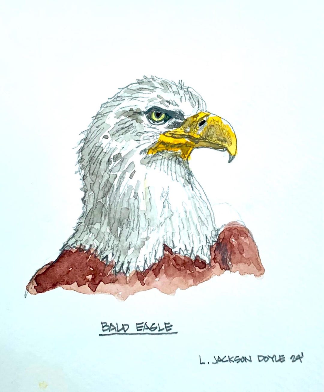 Bald Eagle Original Watercolor by Artist L. Jackson Doyle - Etsy